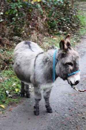 rocketmandec2011age17