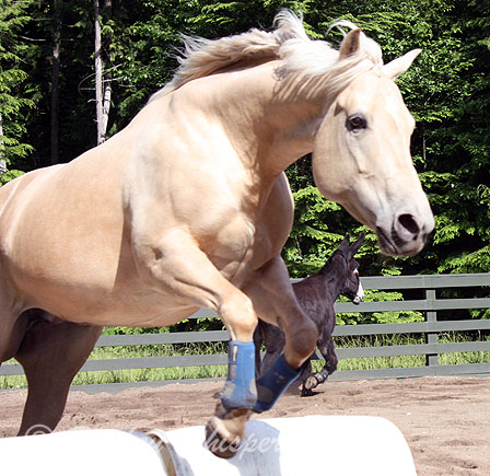 LILYRUNNINGRIOBACK2012