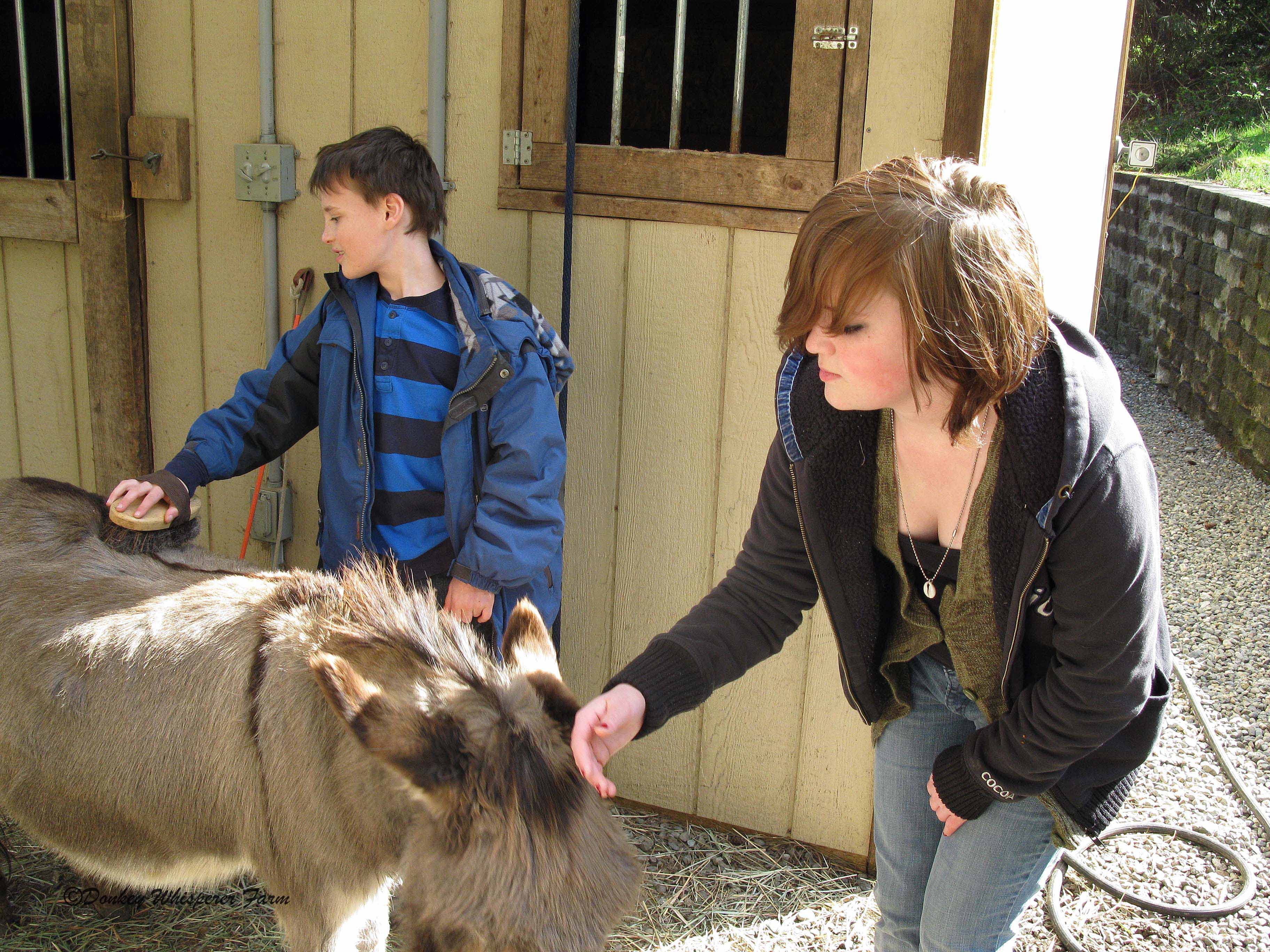 Kids on the farm