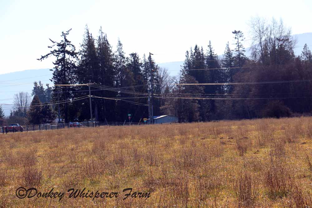 SEQUIMFARM1182014RDDDD