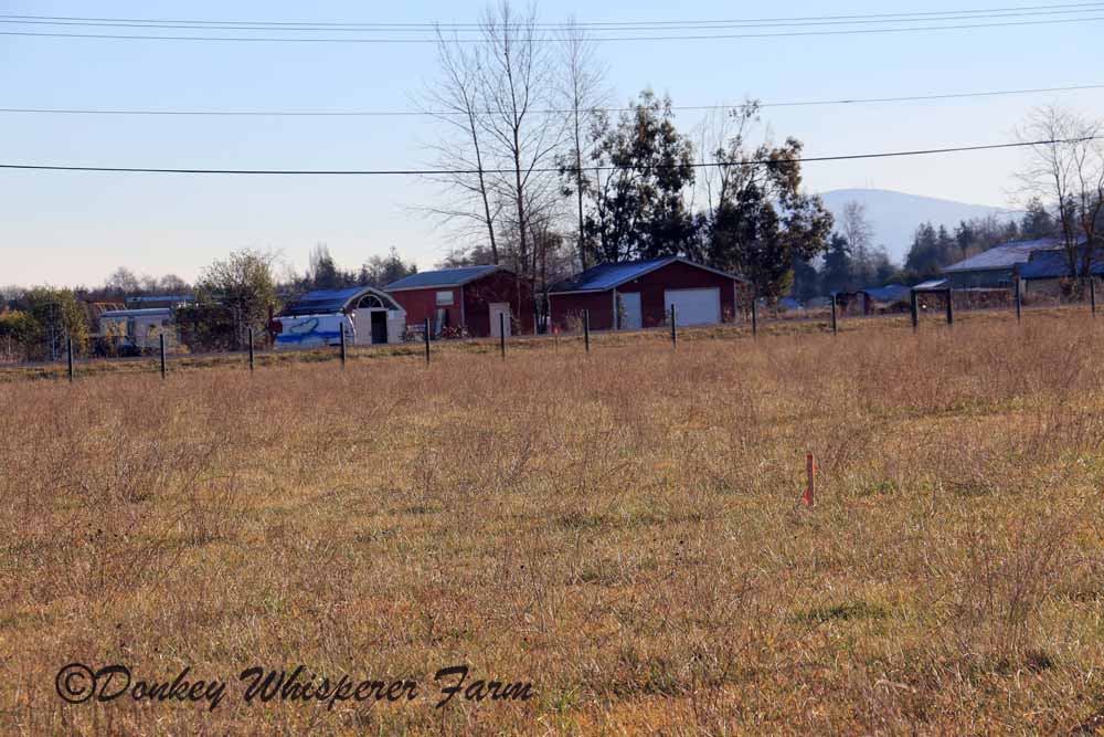 SEQUIMFARM1182014VIEWEAST