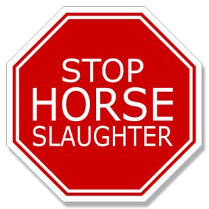 Our Horse Slaughter Stop Sign Decal is approximately 4 by 4 inches and ...